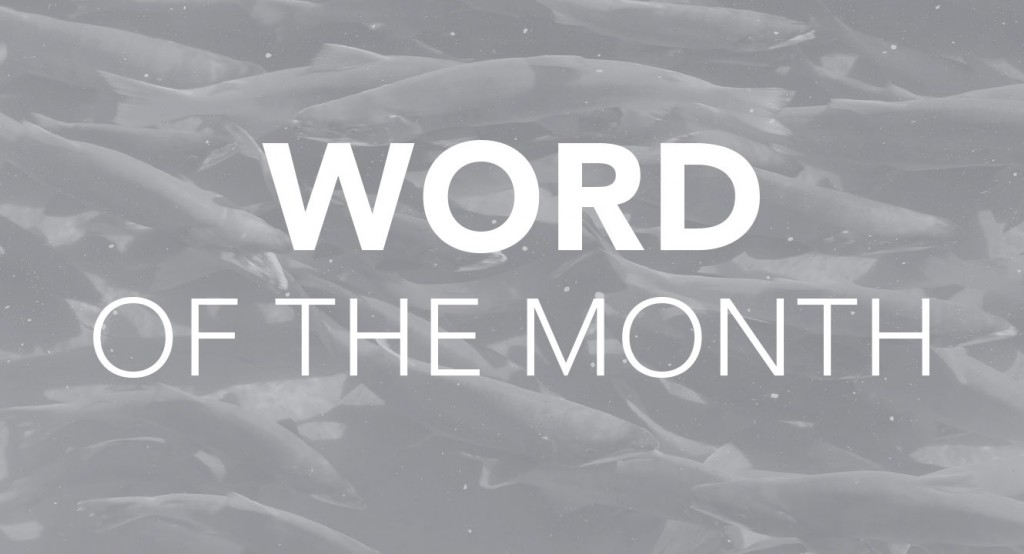 Word of the Month – Operating with Integrity